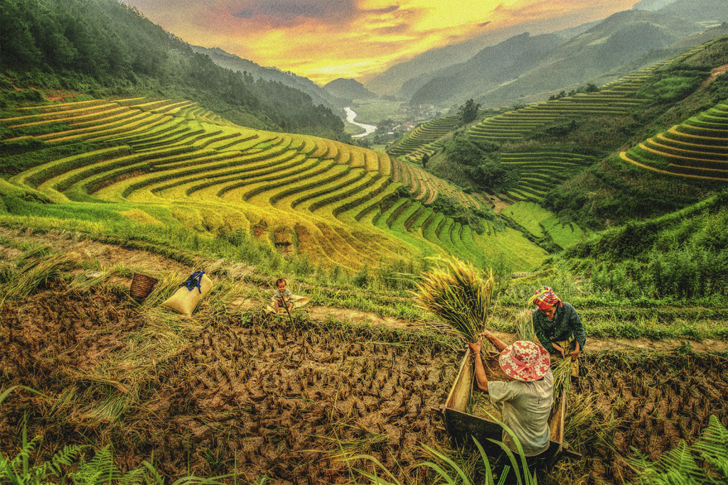 Labouring in Hard Soil - The Australian Navigators